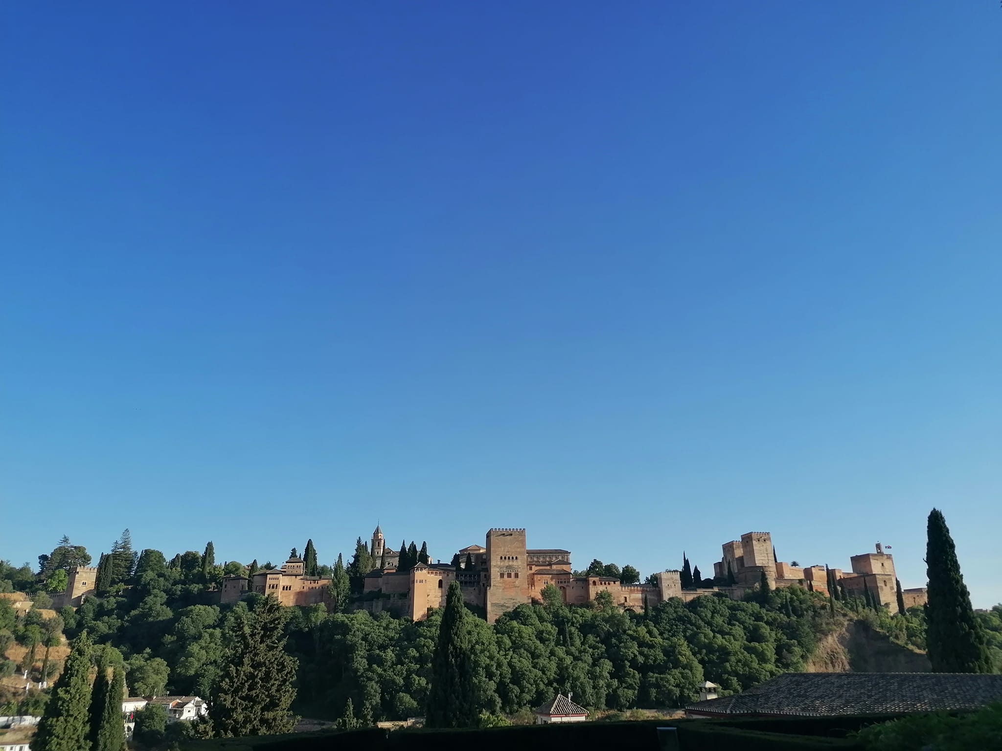 SURRI Summer School (Granada) – Geomicrobiology